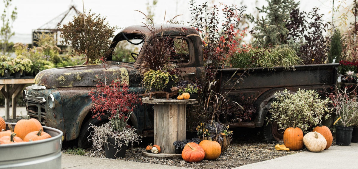 Fall at the Farm - Freckle Farm