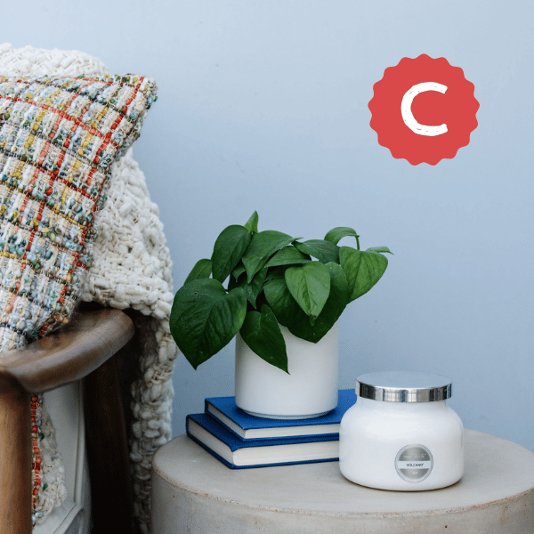 $75 gifts - Freckle Farm