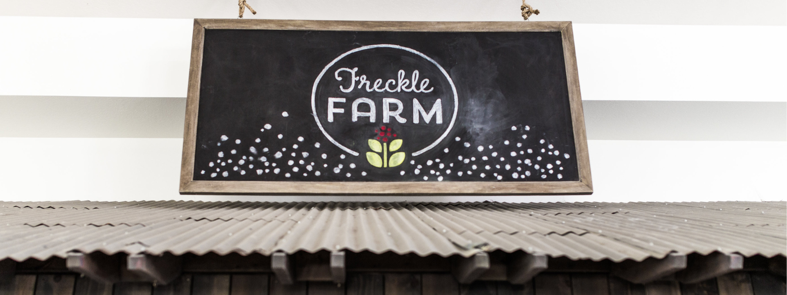 Grow with us! - Freckle Farm